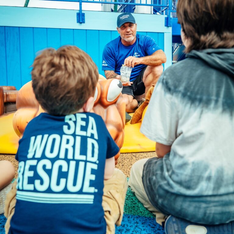 SeaWorld San Diego Makes Learning Fun with Rescue Jr., an ALL-NEW ...
