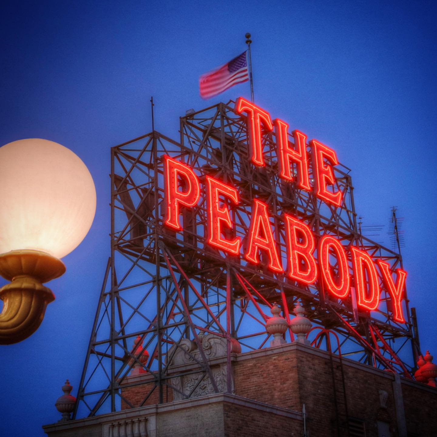 March of Peabody Ducks a Timeless Memphis Tradition – Van Nuys News Press