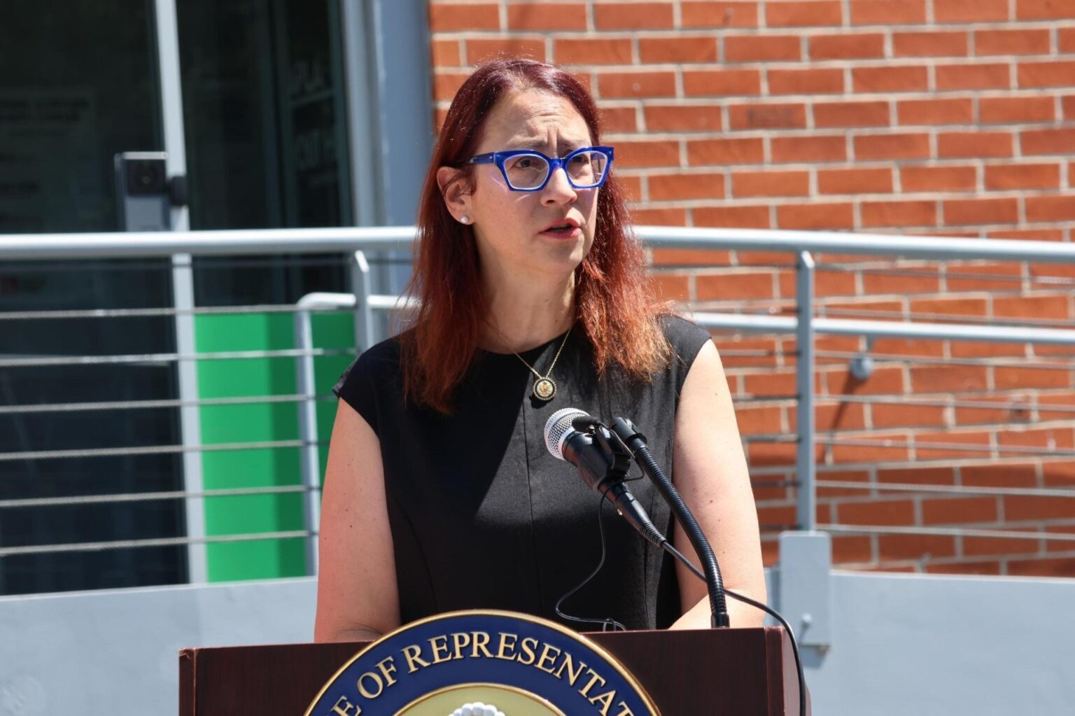 Rep. Laura Friedman Responds to ICE Director’s Decision to Continue ...